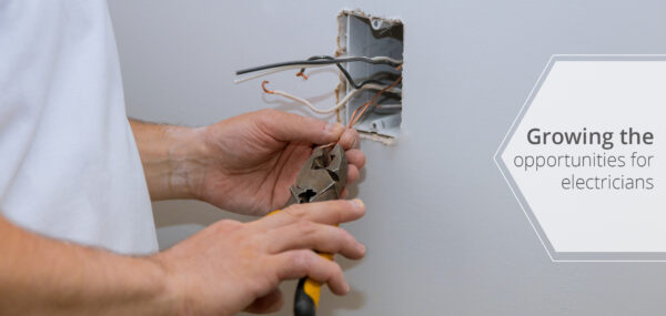 FOR ELECTRICIANS - SwitchSmart